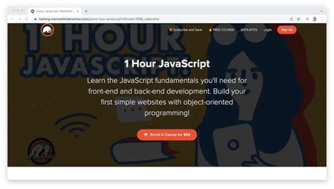 17 Best Javascript Courses For All Levels Learn To Code With Me