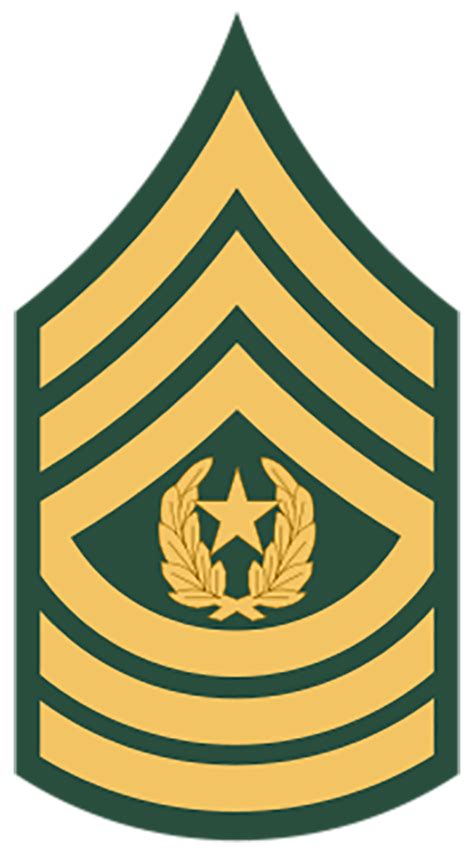 U.S. Military Rank Insignia