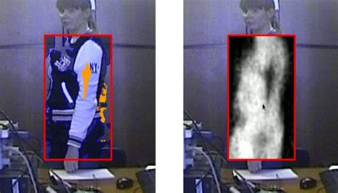 An Example Of The Visualization Of Terahertz Data In The Industrial Download Scientific Diagram