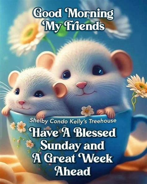 Good Morning My Friends Have A Blessed Sunday And A Great Week Ahead