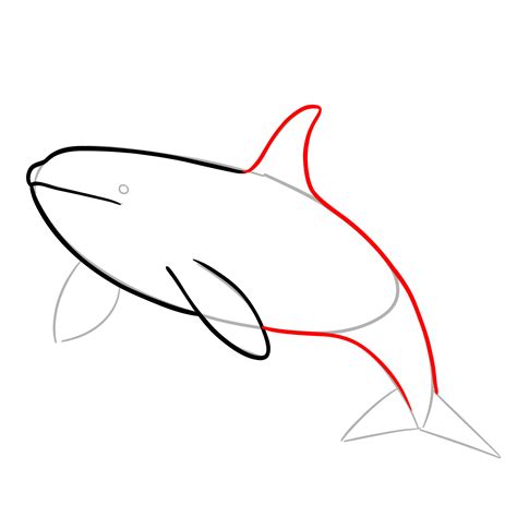 How To Draw An Orca Easy Killer Whale Drawing Tutorial