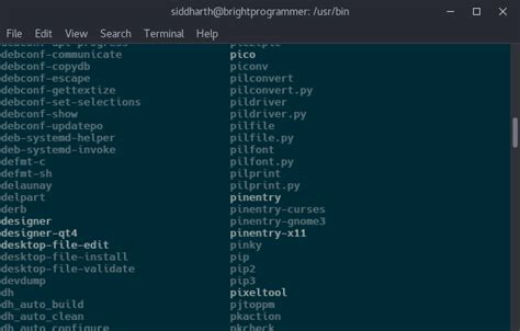 Debian Python Pip ImportError Cannot Import Name Main Unix