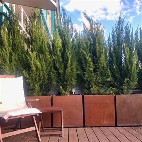 Grc 02 Rustic Cube Four Seasons Nursery