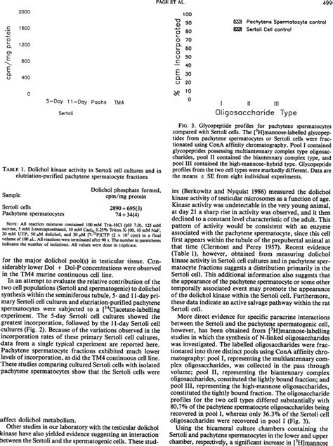 Glycopeptide Profiles For Pachytene Spermatocytes Compared With Sertoli Download Scientific