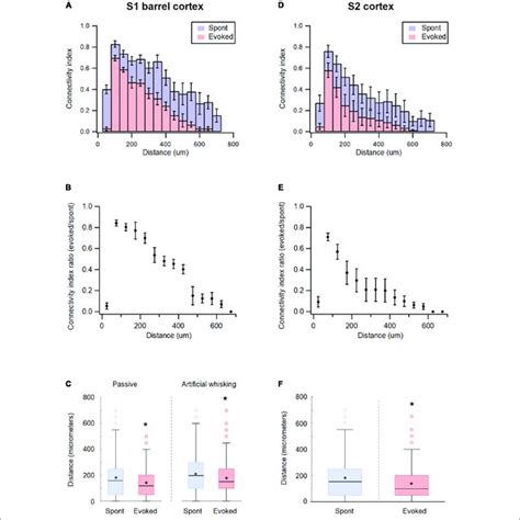 Distance Dependency Of Functional Connectivity In Somatosensory Download Scientific Diagram