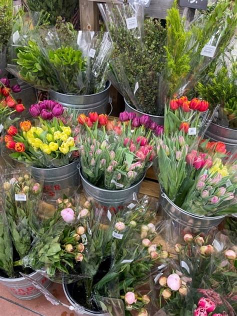 Trader Joes Flower Arrangements The Joy I Get From This One Trader