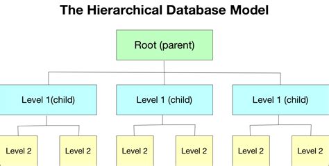 Database Hierarchy 5 Levels Info Of Database