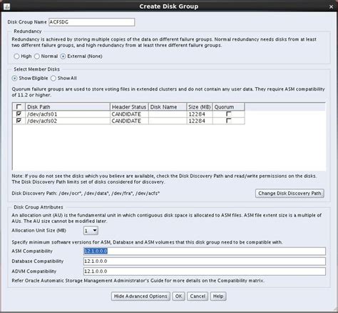 arquitectura y setup de filesystems acfs en oracle 12c 12 1 0 2 0 rac