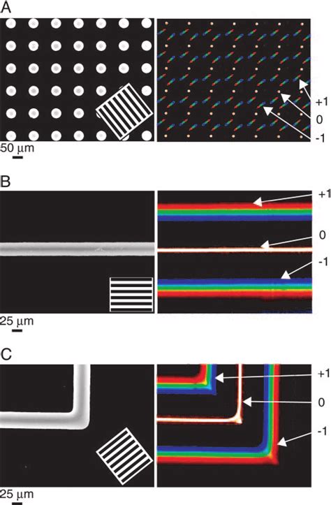 Diffraction Patterns Generated By Ps A Optical Micrograph Of An