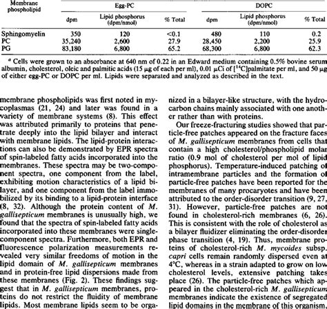 Incorporation Of [14c]palmitate Into Phospholipids Of M Gallisepticum