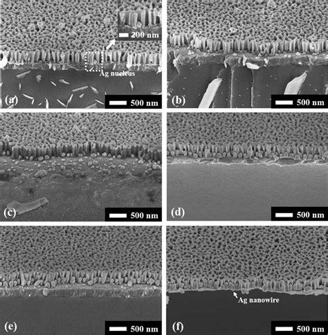 sem side views of electrodeposited silver nanostructures into aao