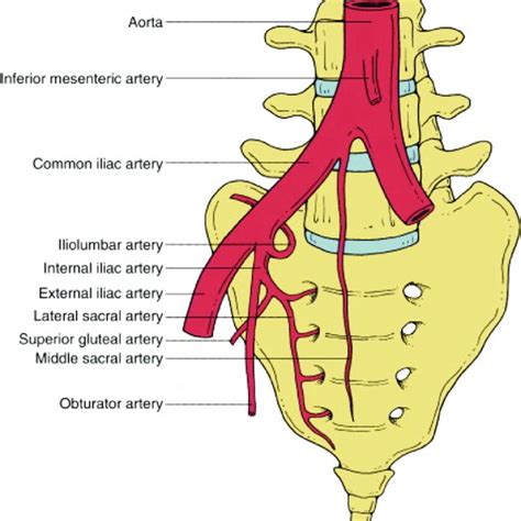 The Denis Classification Of Sacral Fractures A The 3 Zones Zone I Download Scientific