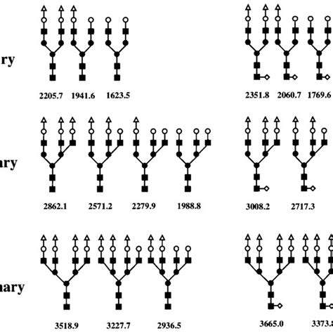 Recombinant Human Follicle Stimulating Hormone R Hfsh 5 Iu And Download Scientific Diagram