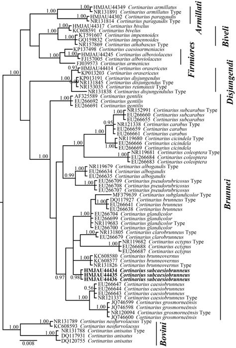 bayesian phylogram inferred from its sequence data the tree is rooted