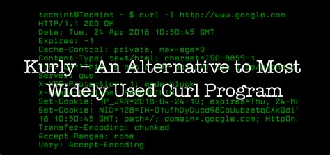 Shell Script Break Out Of For Loop Theresa Howard