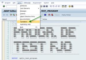 Manage Translations SAP TIPS
