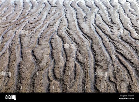 Exposed Riverbed During A Low Tide River Thames London Uk Stock