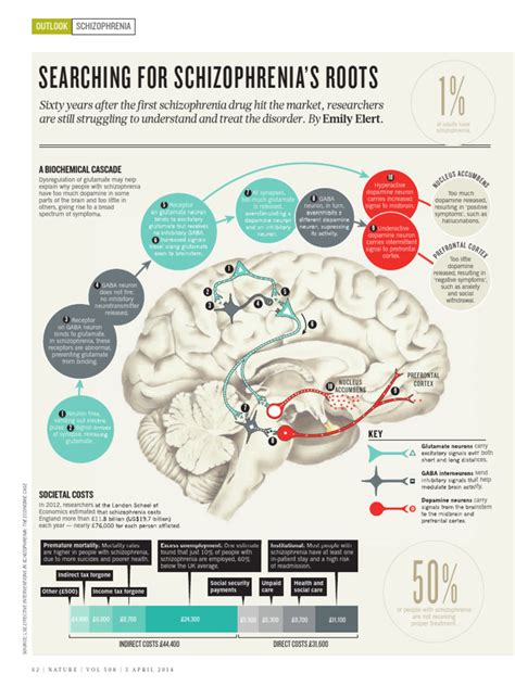 Brain Picture Schizophrenia Pdf Schizophrenia Neuron