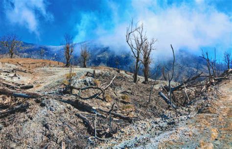 The Worlds Most Beautiful And Deadly Volcanoes Caught On Camera