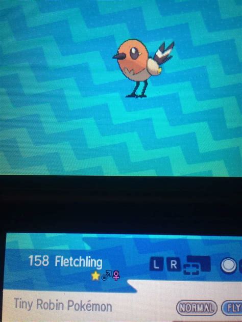 Shiny Fletchling Pokémon Amino