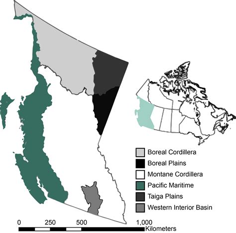 Pacific Maritime Big Book Of Bees