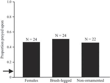 Predation Across Sex And Male Morph Predation Did Not Differ Between Download Scientific