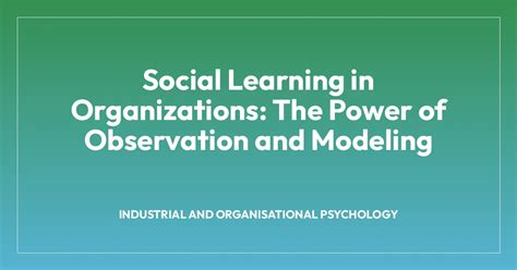 Social Learning In Organizations The Power Of Observation And Modeling • Psychology Town