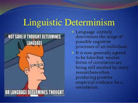 Linguistic Determinism Assignment Point