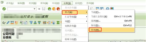 Sap 打开界面后，筛选条件默认筛选sap筛选条件 Csdn博客