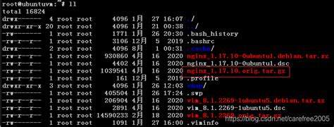 Linux命令之apt Get命令apt Get Libtinfo6 Csdn博客
