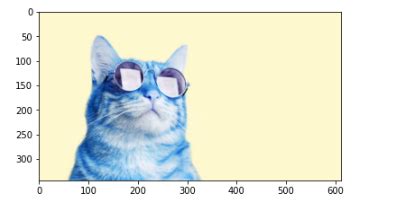 GitHub YusufGulcan Neural Network Image Classification Using Convolutional Neural Network To