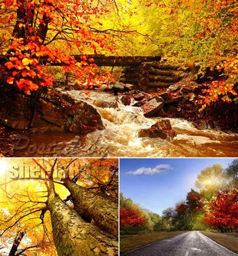 عکس های پاییزی⭐دانلود 55 عکس پاییز زیبا ️بارانی ️واقعی