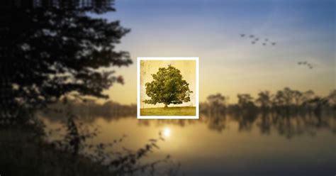 Obituary James Roscoe Dickenson Of Abingdon Virginia Bradleys Funeral Home