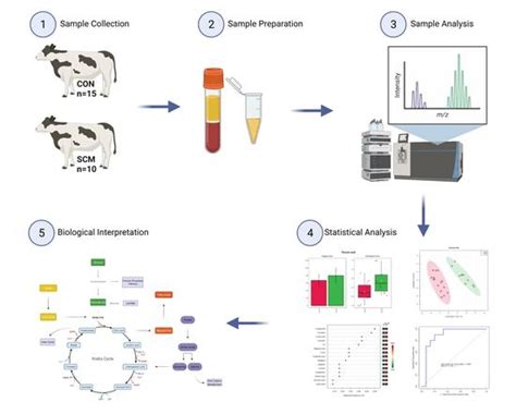 Dairy An Open Access Journal From MDPI