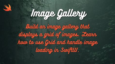 Creating An Image Gallery In Swiftui Using Lazyvgrid For A Responsive