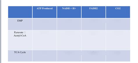 Micro Exam 4 Diagram Quizlet
