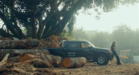 Reciprocal Causation Independent Shorts Awards