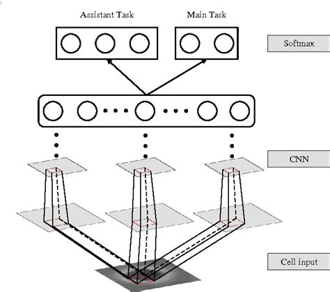 Figure 1 From Cell Tracking Using Deep Neural Networks With Multi Task Learning Semantic Scholar