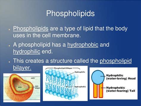 Ppt Organic Chemistry The Building Blocks Of Life Chapter 6 4