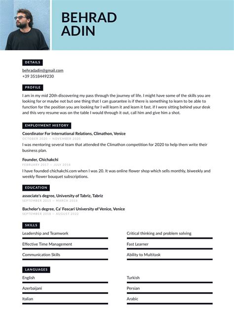 Behrad Adin On Linkedin Cv Job