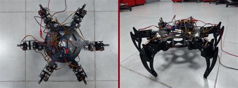 5 ch3 r hexapod robot real initial position download scientific diagram