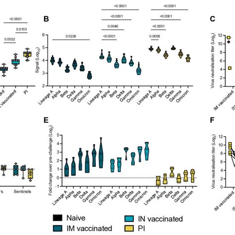 Variant Specific Infection Or Vaccine Mediated Humoral Immunity Download Scientific Diagram