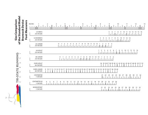 Womens Foot Size Measuring And Conversions Chart Download Printable