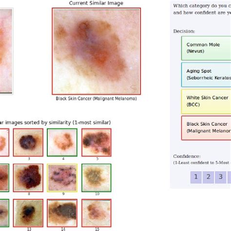 Sample Screenshot With Cbir Algorithm Results Download Scientific