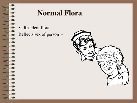 Ppt Normal Flora Powerpoint Presentation Free Download Id4214563