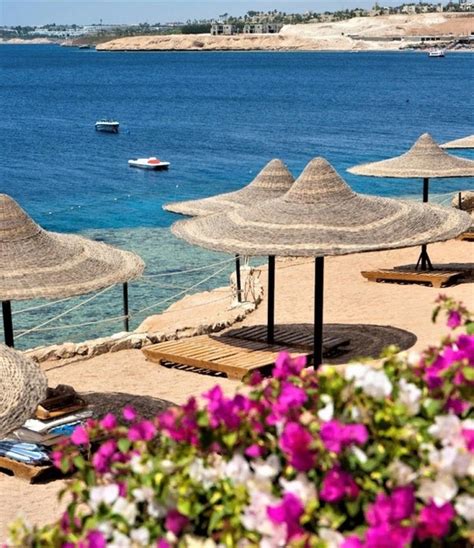 ИДЕИ ДЛЯ ПУТЕШЕСТВИЙ Почему все едут в бухту Наама Бей Несмотря на то что в Шарм Эль Шейхе