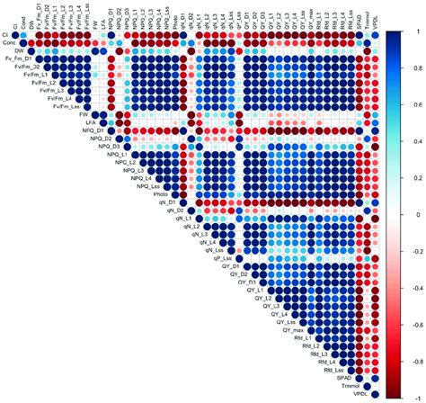 Graphical Representation Of A Correlation Matrix Of Morphological Download Scientific Diagram