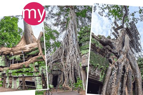 Angkor Wat Closing Time Secrets For An Unforgettable Visit