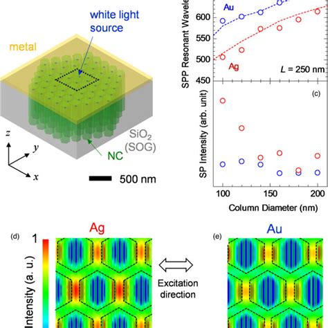 Color Online A Schematic Model Of Nc Plcs In The Fdtd Simulation