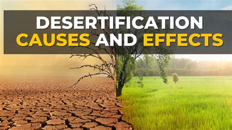 Desertification Causes Shocking Us Land Degradation Eresourcesblog